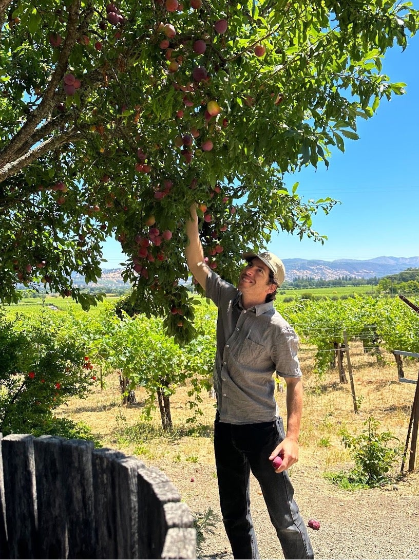 Team – Soil Biodiversity and Health Lab
